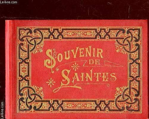 SOUVENIR DE SAINTES - (ALBUM DEPLIANT DE D'ILLUSTRATIONS). - Libro