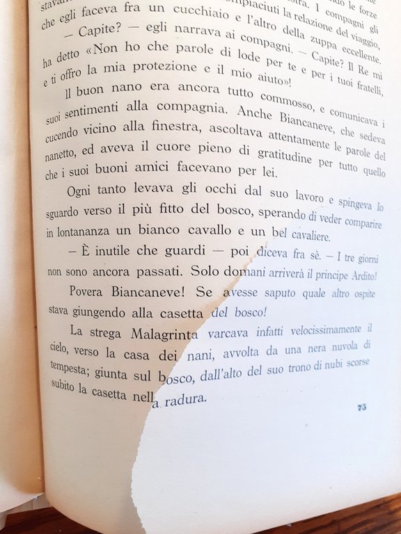 La storia di Biancaneve - i sette nani e la figlia di Biancaneve Torino ...