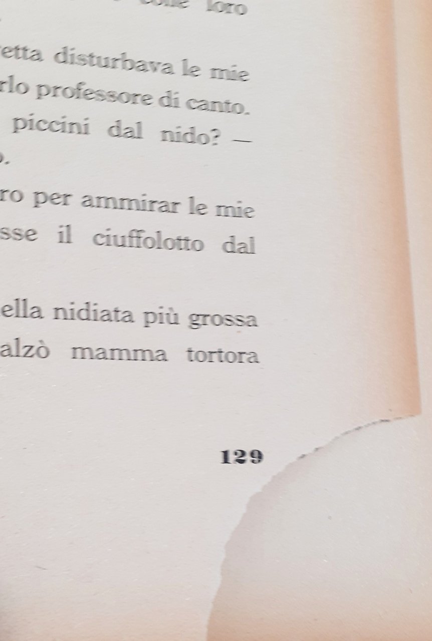 La storia di Biancaneve - i sette nani e la figlia di Biancaneve Torino ...