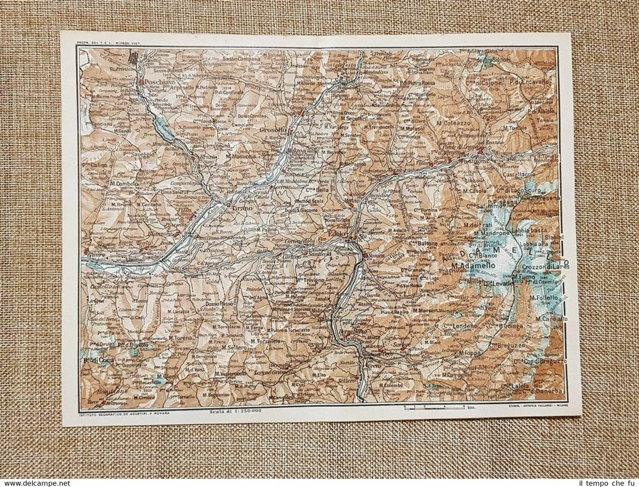 Carta geografica o cartina del 1914 M.Adamello Crozzon di Lares ...