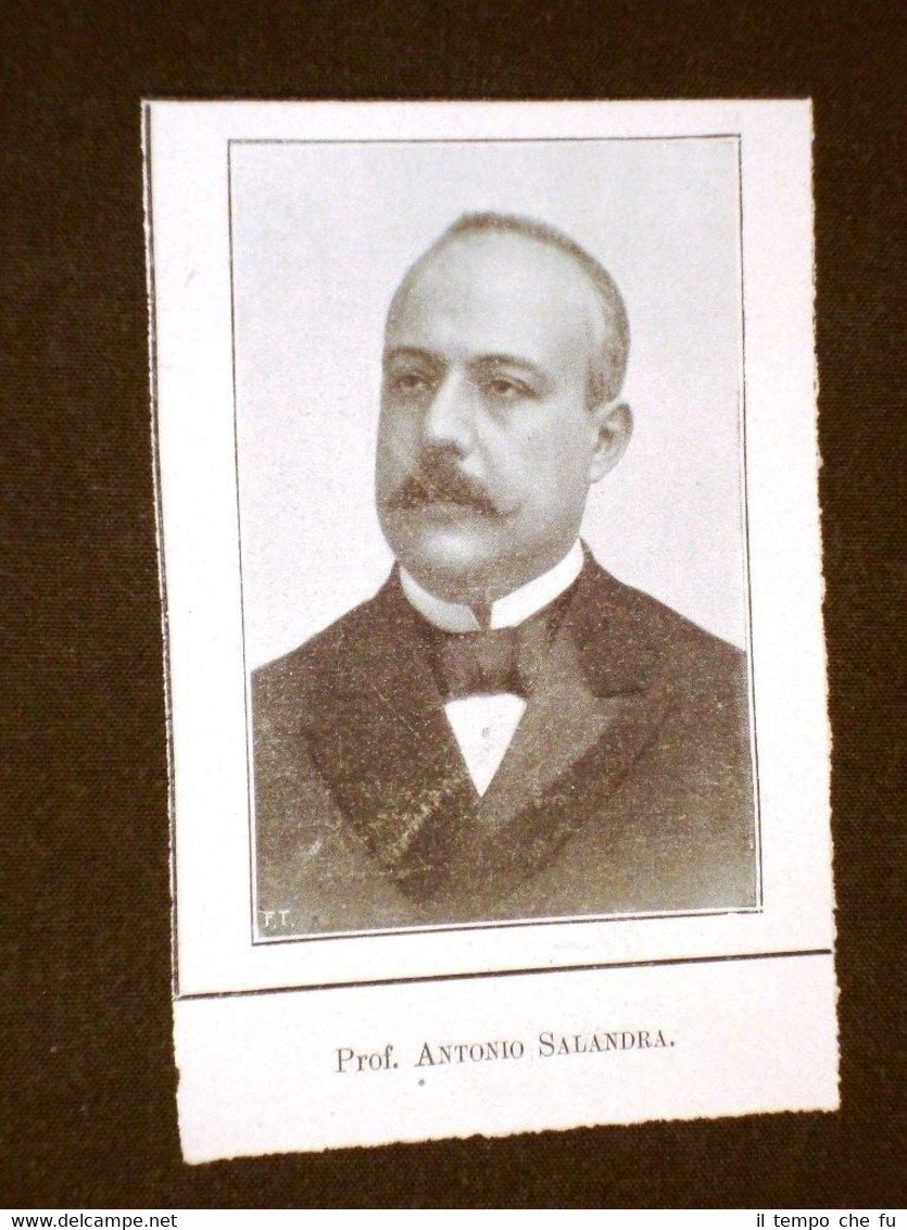 Deputato nel 1909 Professore Antonio Salandra - Stampa