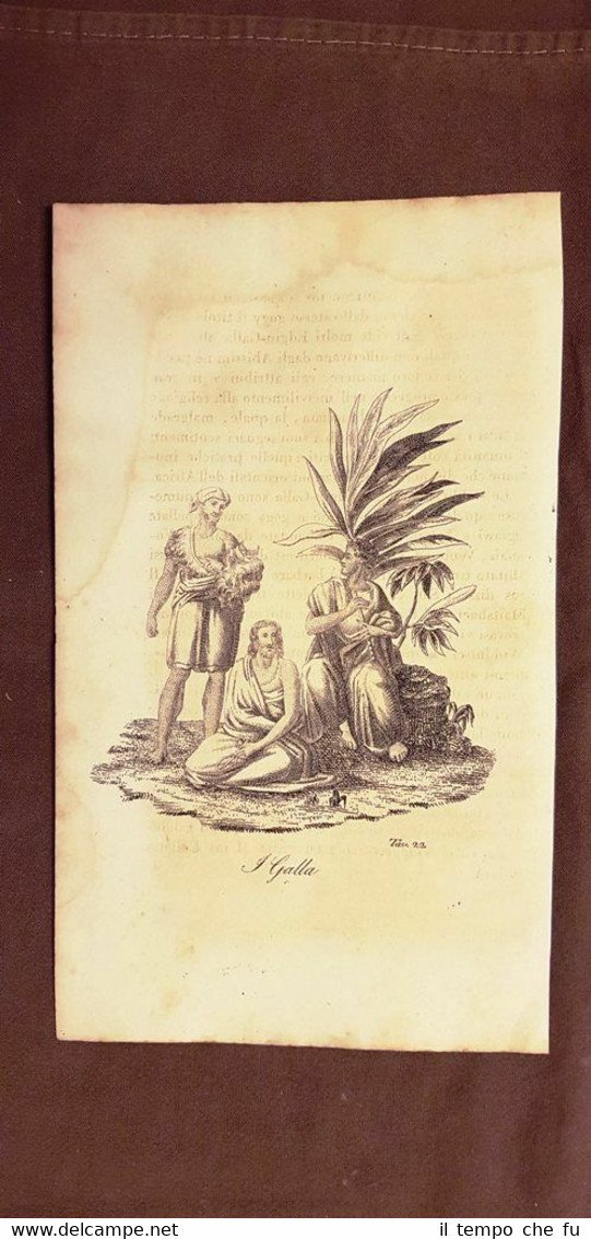 Oromo o galla Etnia Etiopia e Kenya Acquaforte del 1830 Costume antico ...