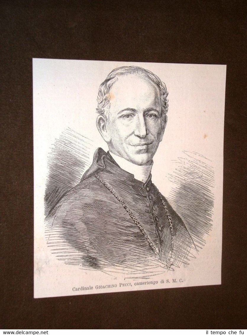 Papa Leone XIII o Gioacchino Pecci nel 1877 quant'era Cardinale e ...