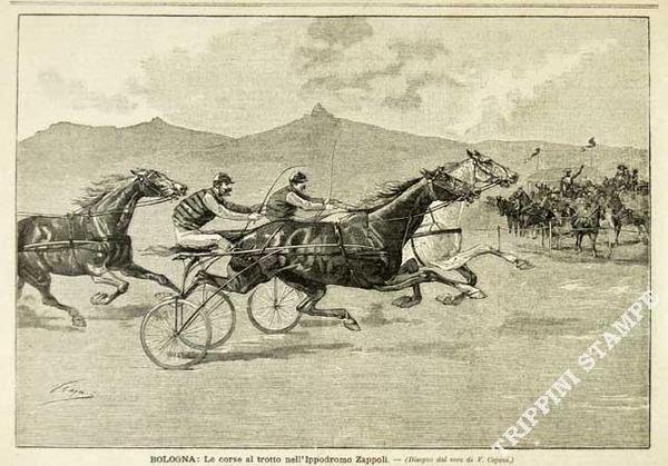 Bologna: le corse al trotto nell'ippodromo Zappoli - Stampa