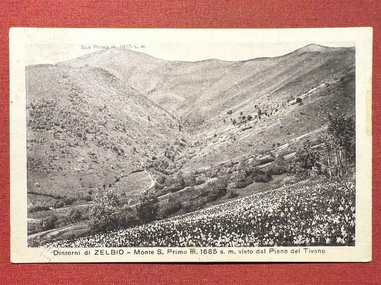 Cartolina - Dintorni di Zelbio - Monte S. Primo visto dal Piano del ...