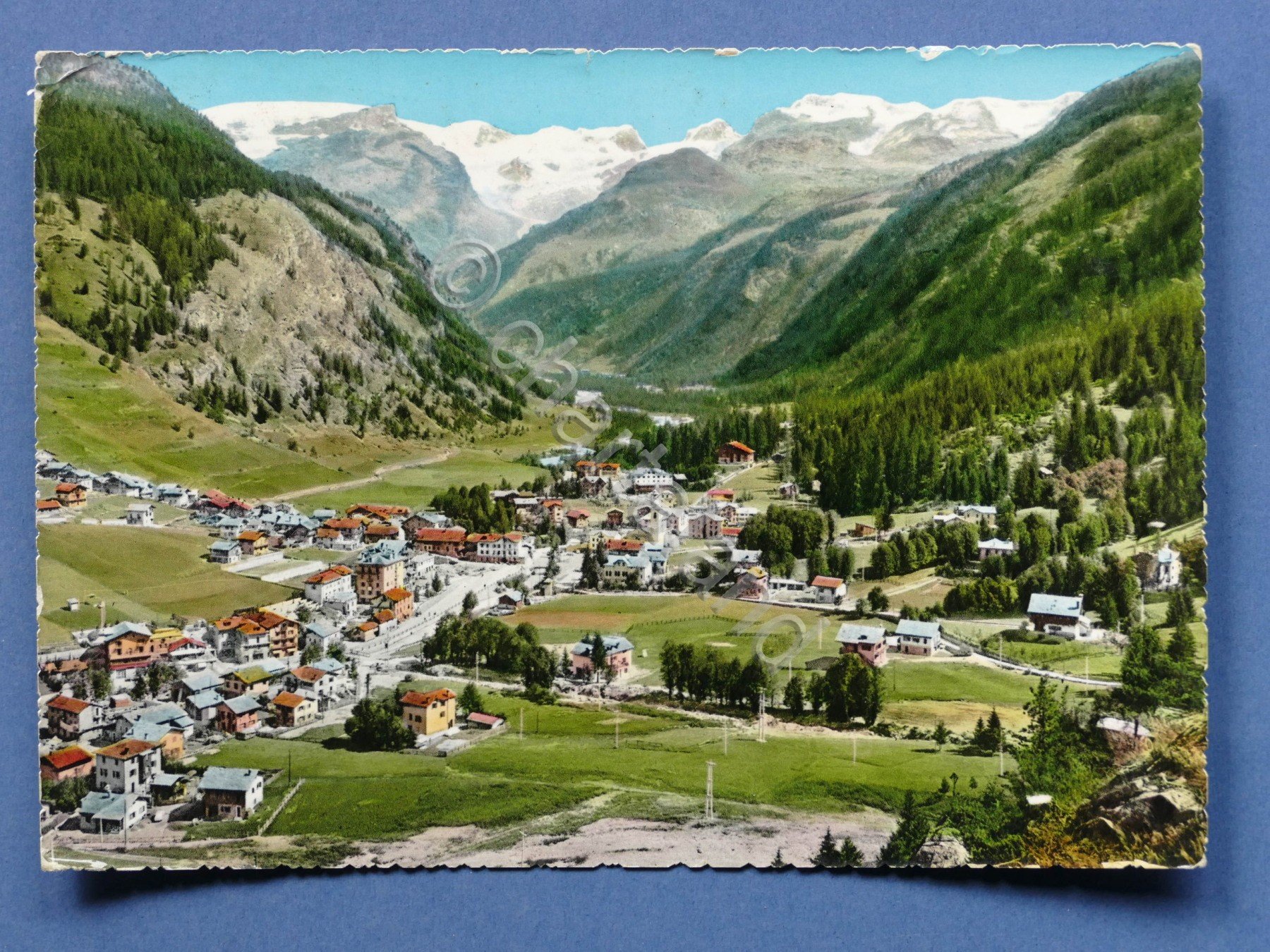 Cartolina Champoluc - Panorama e Ghiacciai del Monte Rosa - 1960 ...