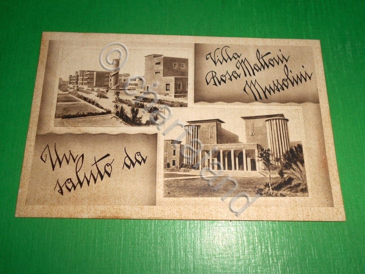 Cartolina Tirrenia - Un saluto da Villa Rosa Maltoni Mussolini 1939 ...